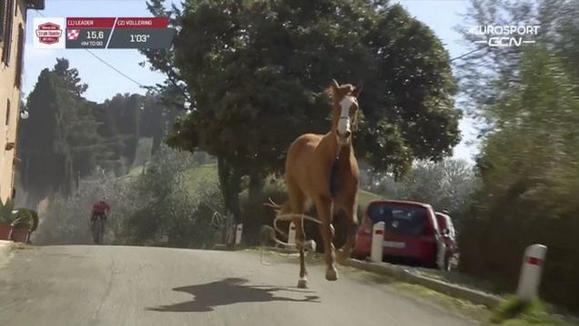 Bizar! Op hol geslagen paard hindert Demi Vollering in finale Strade ...